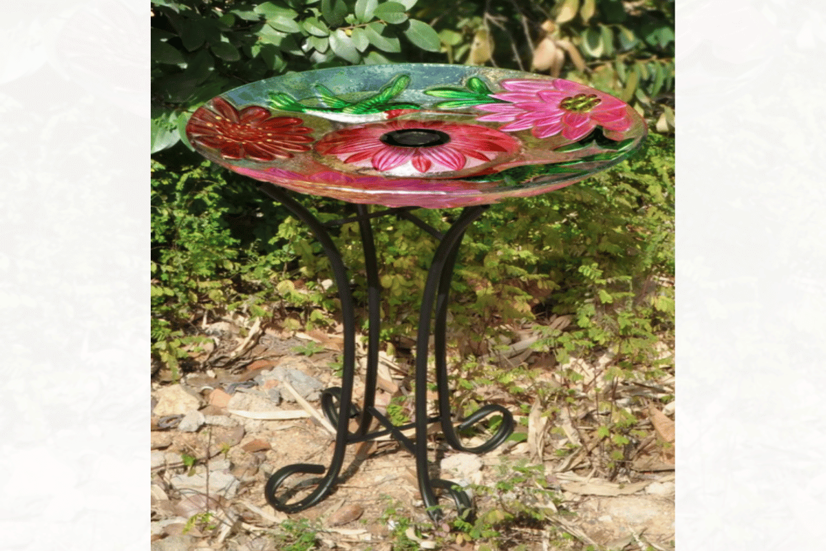 Nature-Inspired Accents: How to Decorate Around a Bird Bath – Hi-Line ...