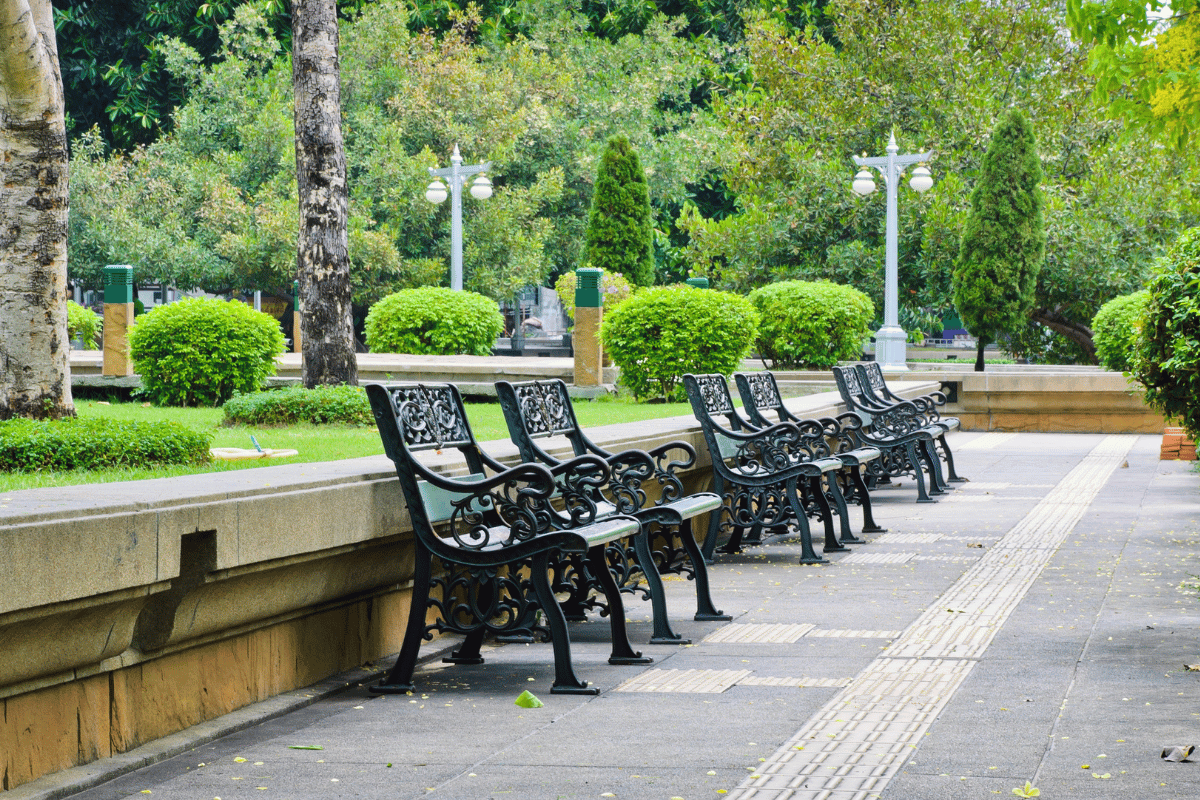 Creating Garden Focal Points: Using Metal Benches to Anchor Your Lands ...
