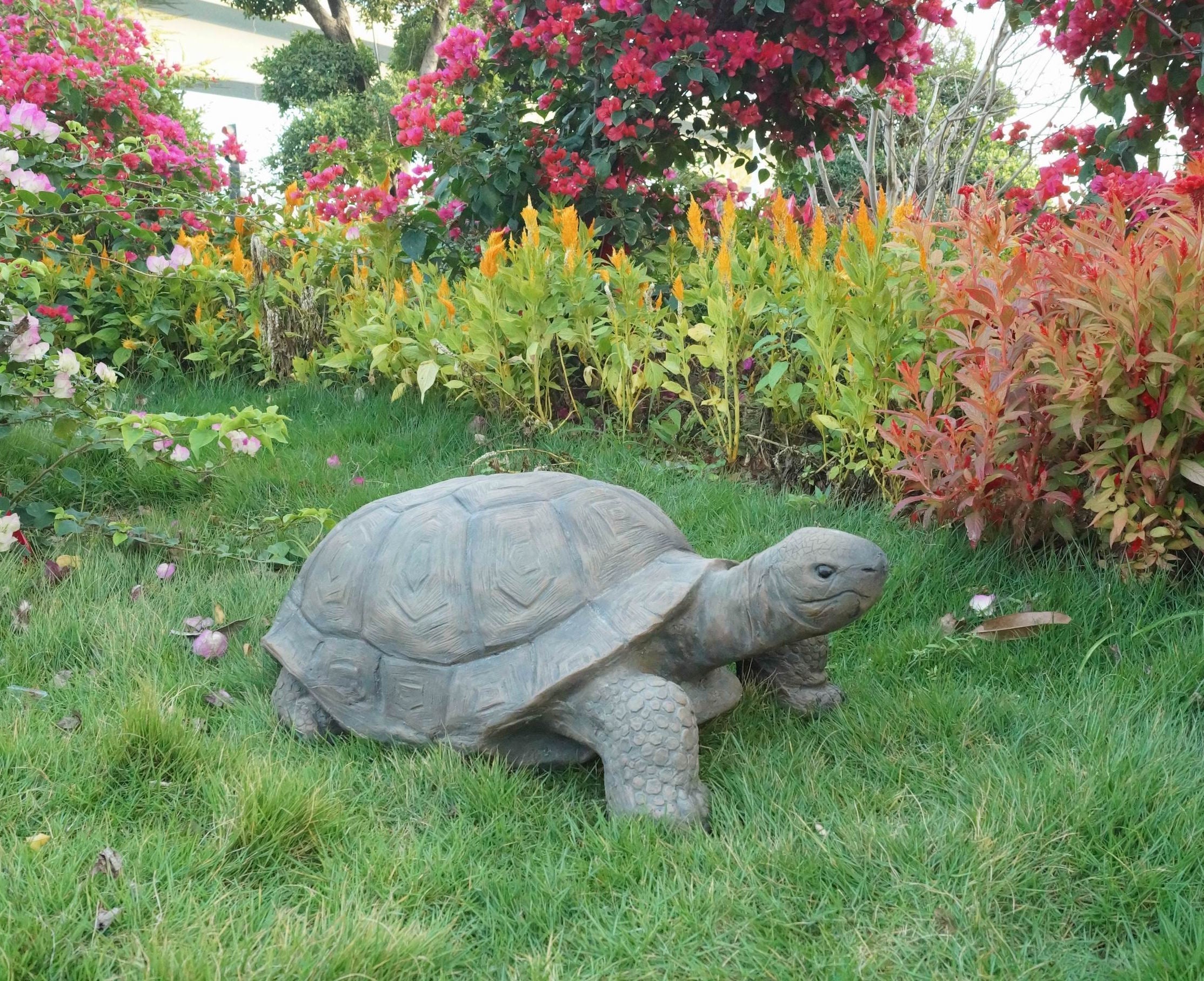 Turtle & Tortoise Outdoor Garden Statues for Patio & Yard – Hi-Line ...
