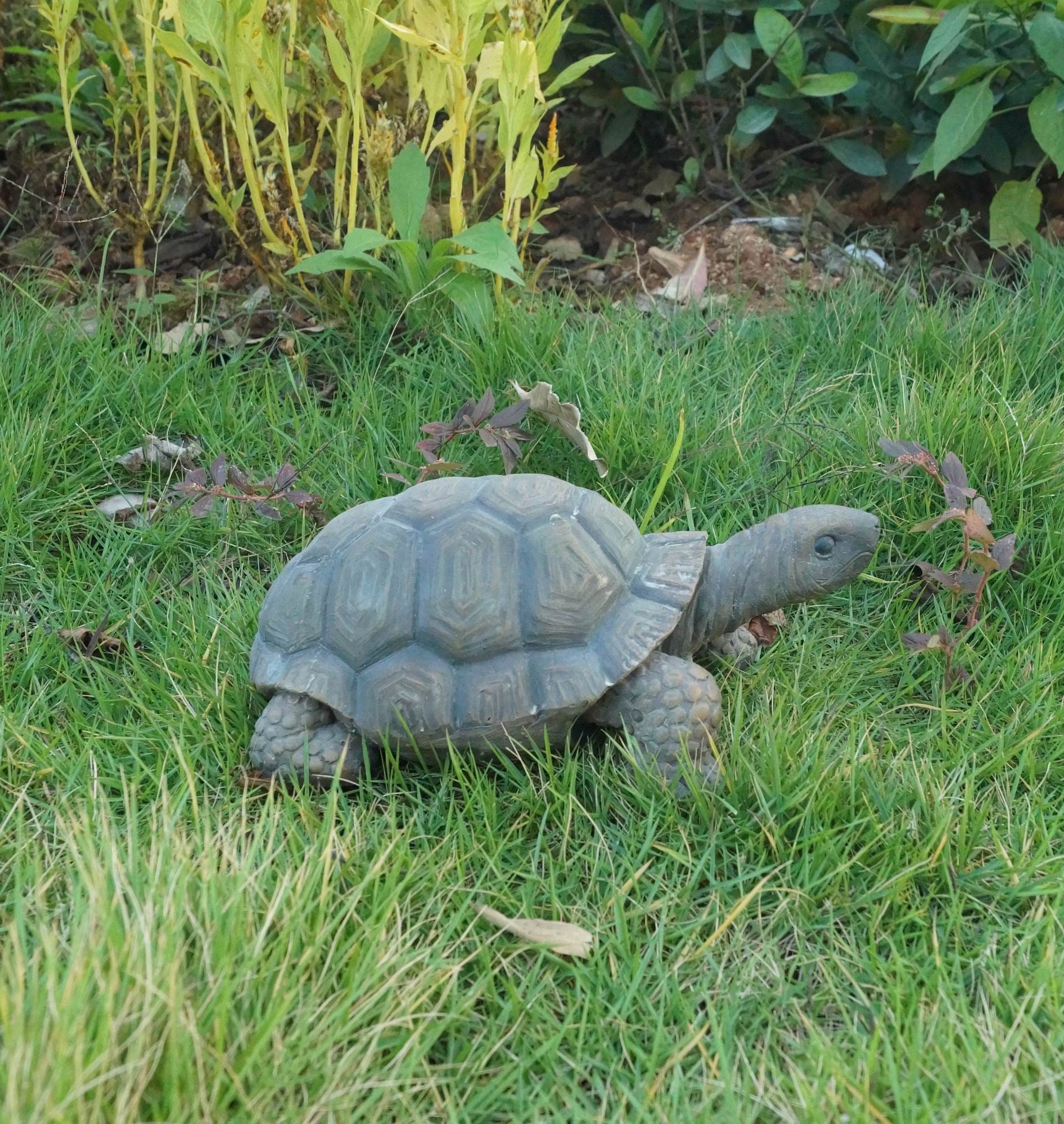 Elongated Turtle Resin Statue for Unique Decor – Hi-Line Gift Ltd.