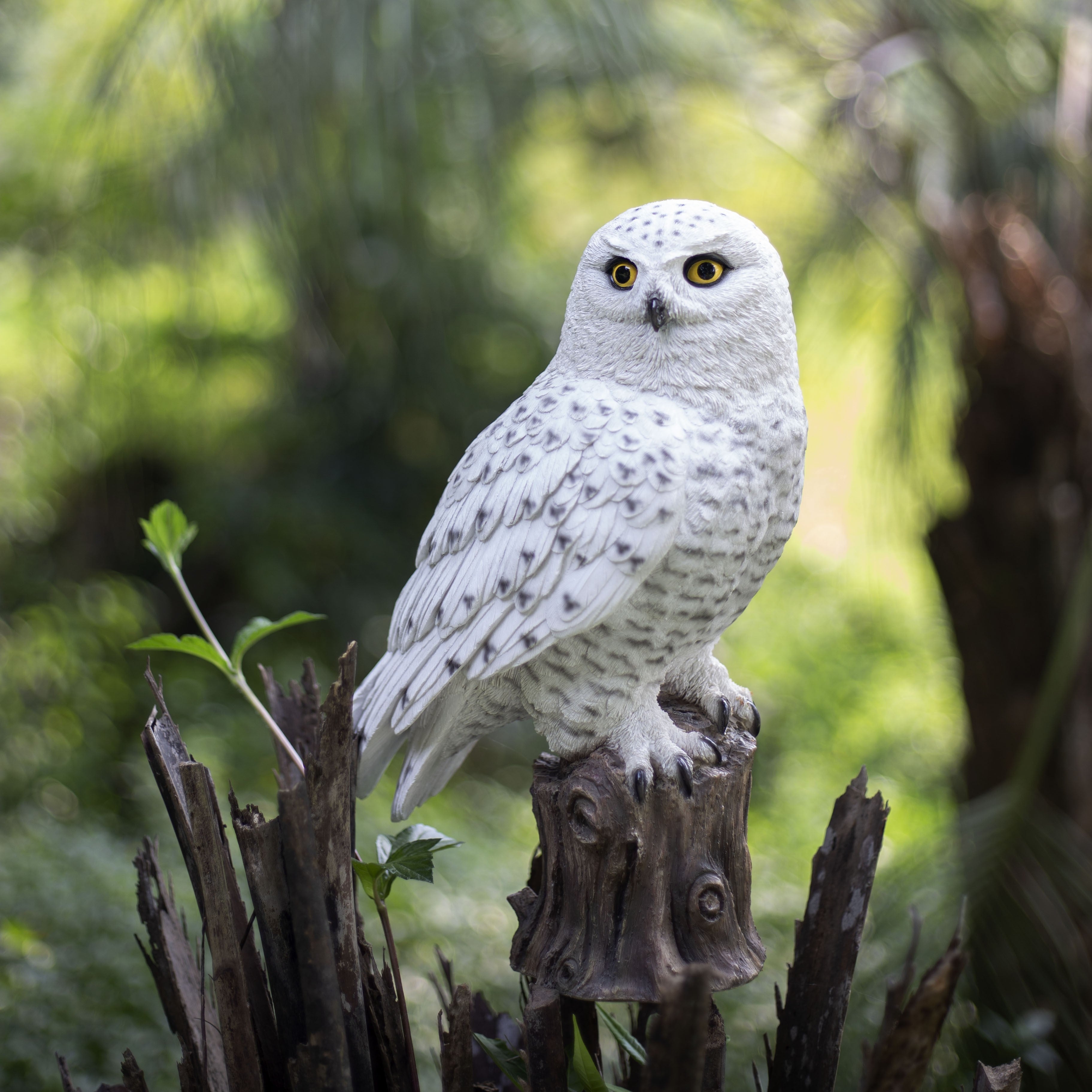 SOREAL Snowy Owl on Branch (87623-b) – Hi-Line Gift Ltd.
