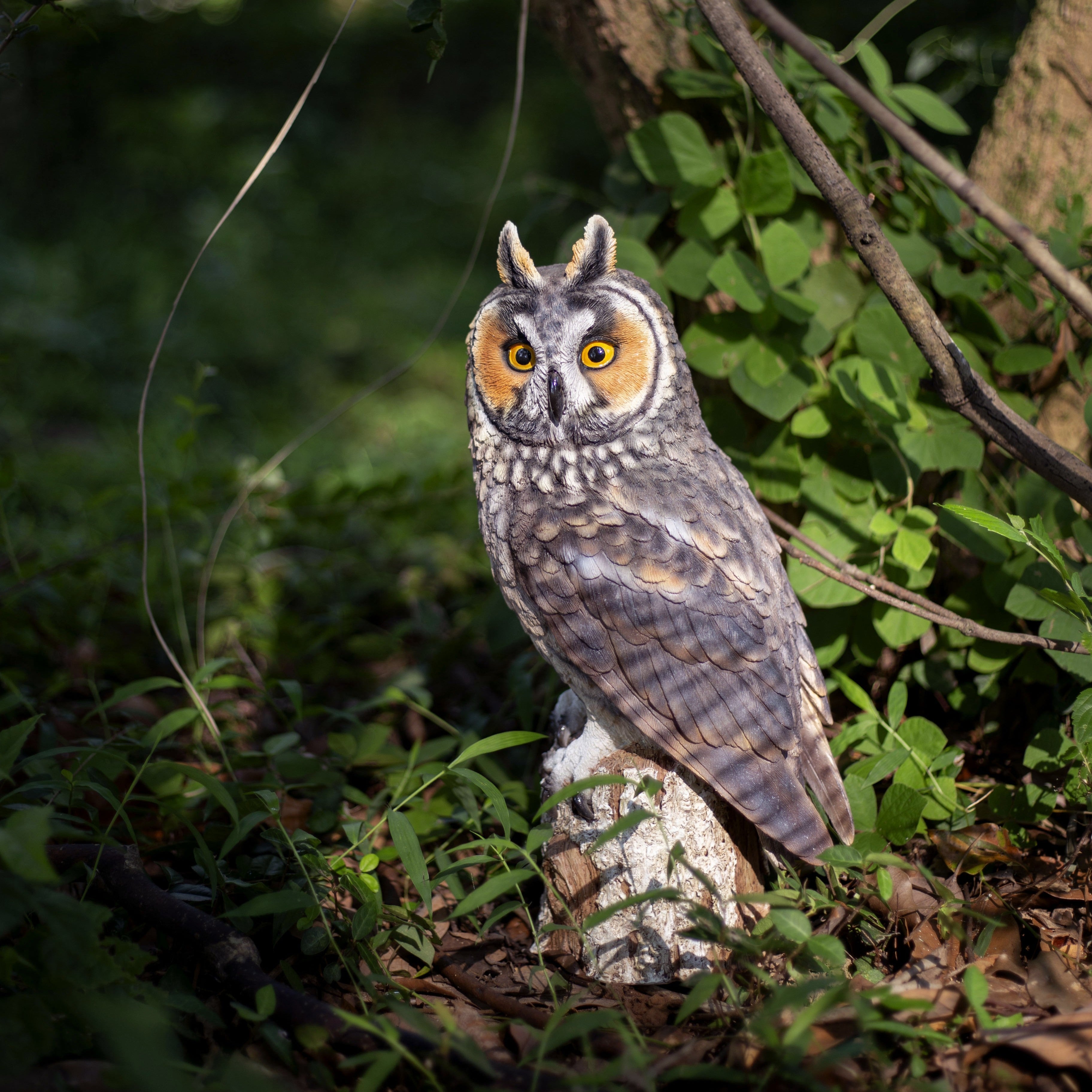 SOREAL Long Eared Owl on Branch (87623-d) – Hi-Line Gift Ltd.