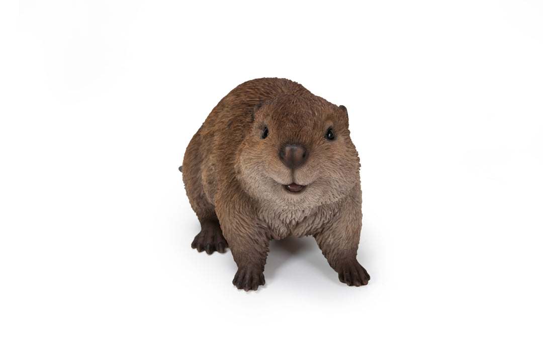 Hi-Line Exclusive - American Beaver Cub Statue - Home Decor - Hi-Line ...