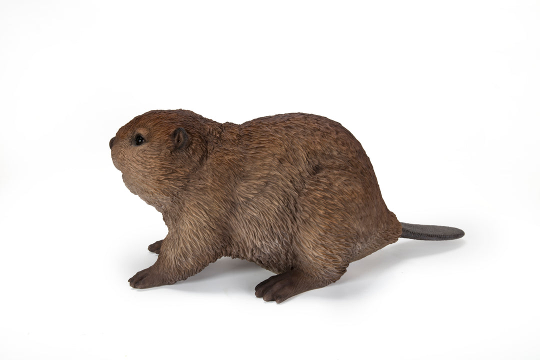 Hi-Line Exclusive - American Beaver Cub Statue - Home Decor - Hi-Line ...
