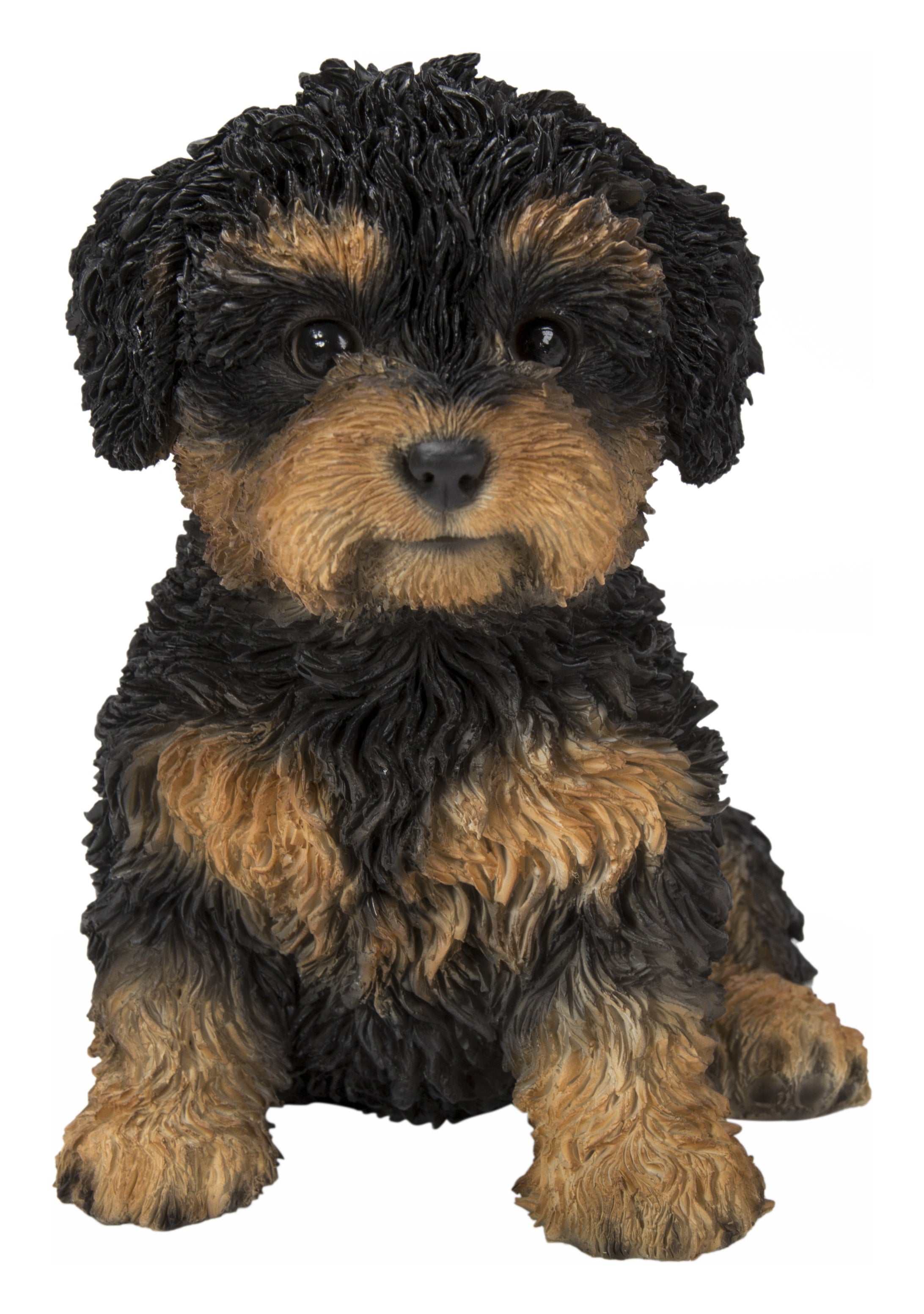 Baby Cavapoo Black Tan Statue Resin Garden Statue – Hi-Line Gift Ltd.