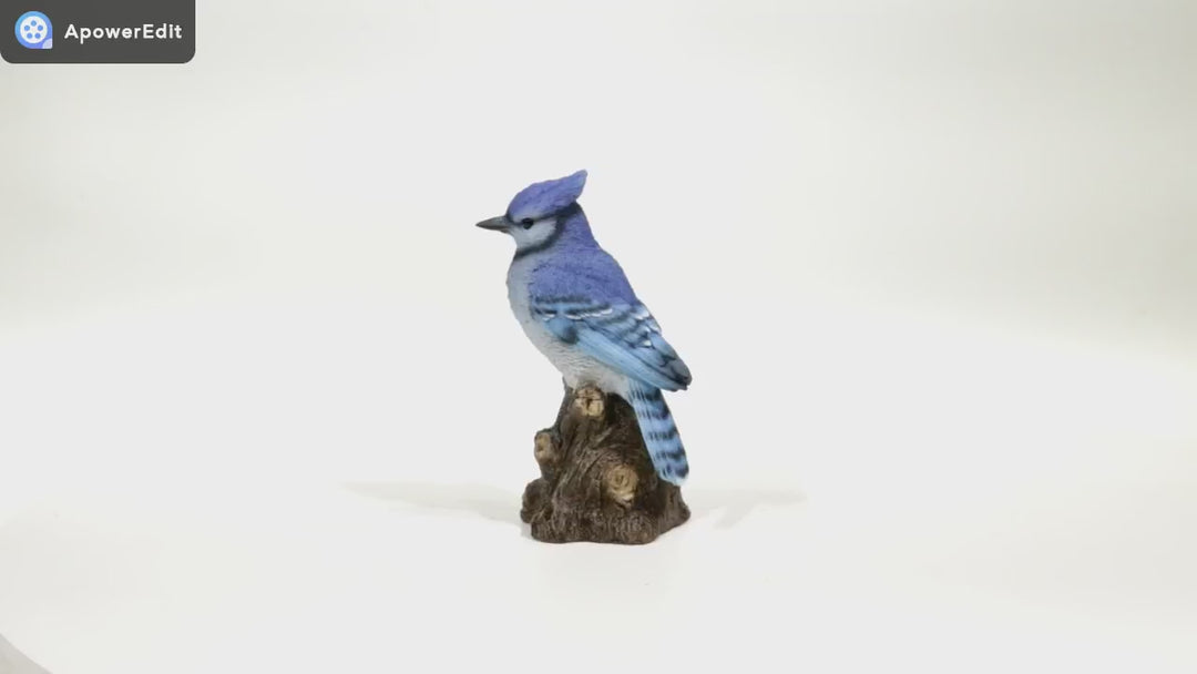 Motion Activated Singing Blue Jay Statue - Home Decor - Hi-Line Gift Ltd.